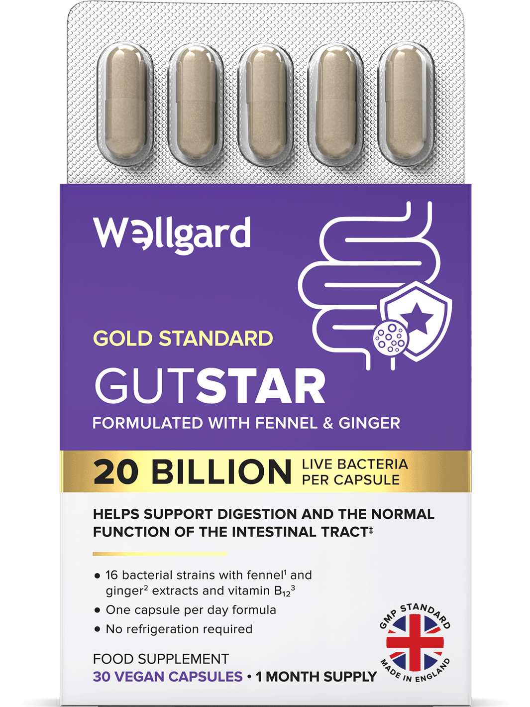 Gutstar Probiotics for Gut Health With Fennel & Ginger - Wellgard