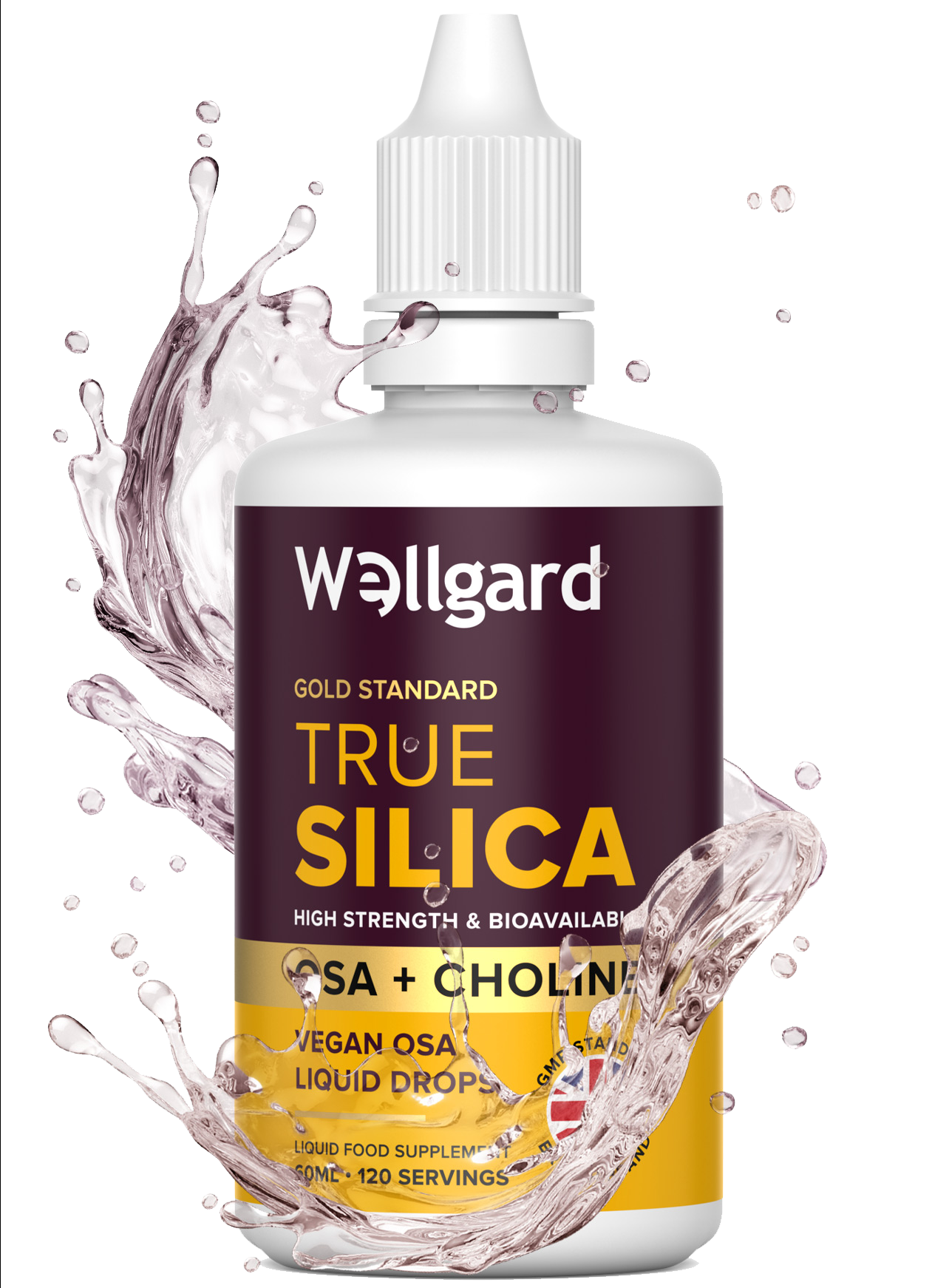 Wellgard True Silica - Stabilised Silica with Choline and Ortho Silicic ...